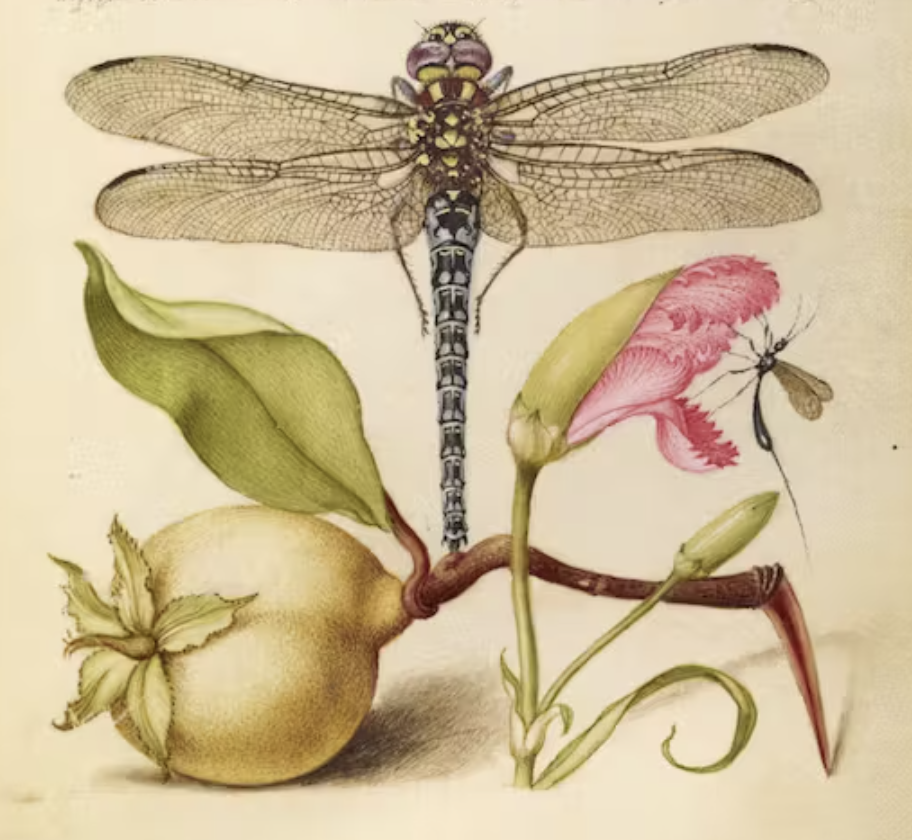 Taurus Season (April 20 - May 20): From Power Struggle to Wake-Up Call ...